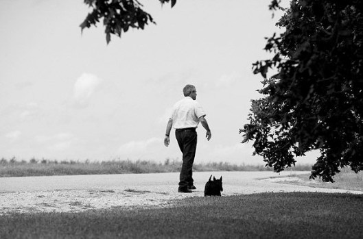 Presidential Scottie: Barney Bush | The Adventures of Indy and Lucy